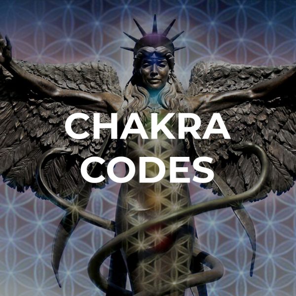 EVENTS - AJNA TEMPLE